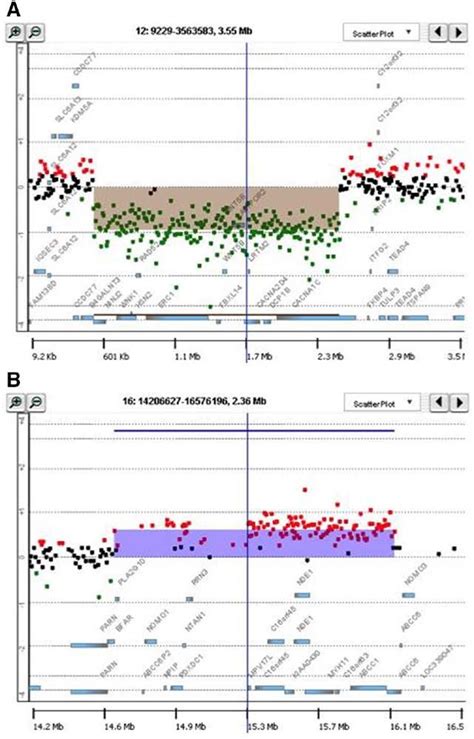 Pathogenic Deletion And Duplication Copy Number Variants Cnvs Likely Download Scientific