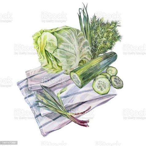 흰색 배경에 격리된 파란색 수건에 수채화 녹색 야채를 구성합니다 딜 부추 오이와 양배추 채식 샐러드를 위해 손으로 그린 녹지 비건 음식 요리 책에 대한 클립 아트 포장