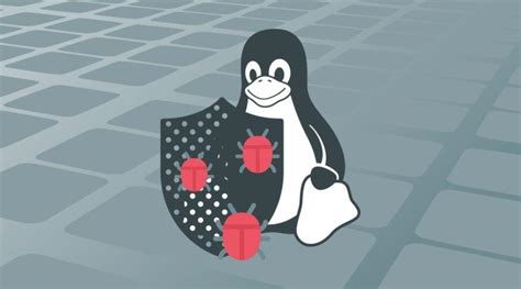 Top Encrypted Linux Antivirus Secure Your Linux System