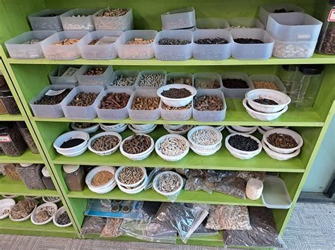 친환경 연료 팰릿기계 플랜트 제조금강이앤지 한국 나도한마디 젯다 및 서부지역 한인회