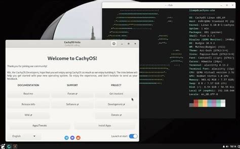 Arch Based Cachyos Promises Speed But Trips Over Its Laces • The Register