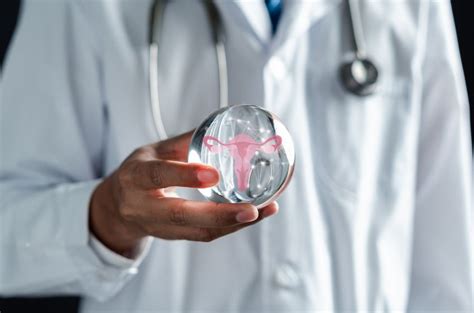 Hsg Vs Shg Unraveling Hysterosalpingography And Sonohysterogram For Fertility Reproductive