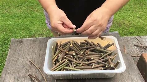 ТВОРЧЕСТВО НА ДАЧЕ КРАСИВЫЙ ШАР ИЗ СУХИХ ВЕТОК ДЕРЕВА Youtube