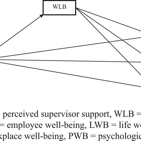 Hypothesized Model Depicting The Relationship Between Pss Wlb And Ew