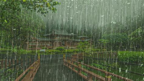 11분 안에안개가 자욱한 숲에 폭우가 쏟아지는 순간 불면증과 작별을 고할 것입니다 Asmr Youtube