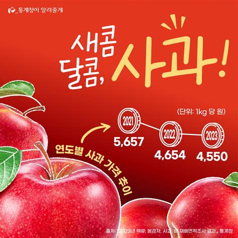 [인포그래픽] 새콤달콤 사과 연도별 사과 가격 추이 혁신24 정부혁신 홈페이지 자료실 홍보자료