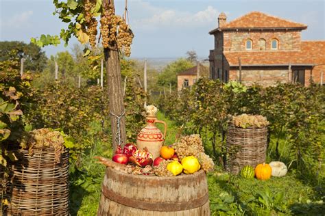 Chateau Svanidze მთავარი