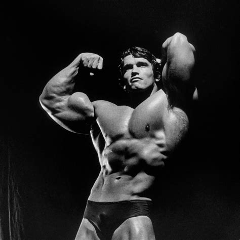 Arnold Schwarzenegger Terminator 2 Muscles