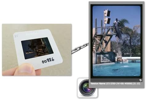 If You Don T Add This To The Filename Of Your Scanned Photos You Ll Probably Hate Yourself