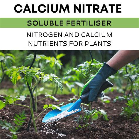 Calcium Nitrate Soluble Fertiliser Grow Folk