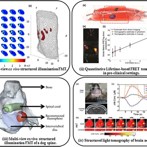 PDF Review Of Structured Light In Diffuse Optical Imaging