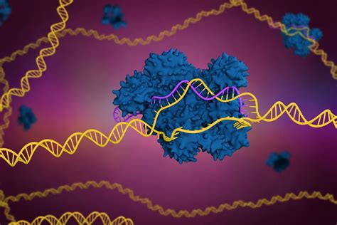 34 Facts About Crispr Cas9