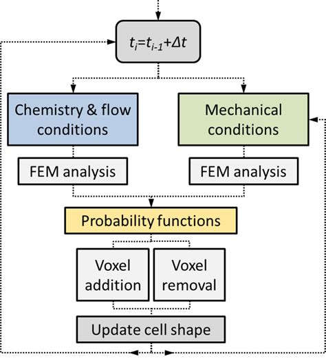 Scheme Of The Iterative Loop At Each Temporal Step The Fluid Chemical