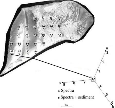 Sampling Strategy Spectral Measurements And Three Sediment Samples Download Scientific