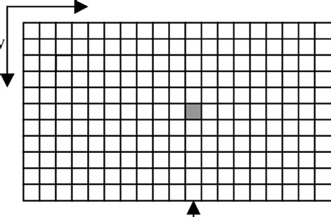 illustration of the schematic diagram of the pruning technique in