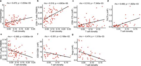 The Correlation Between T Cell Clonality And T Cell Subtypes A Th1