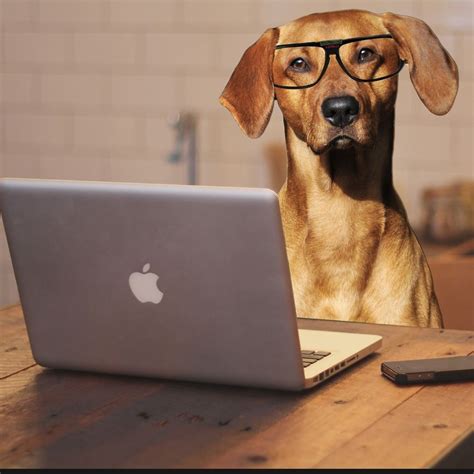 Brycefransen Thelendinggiant Phoenixazloanofficer Mortgageloanofficer Phoenixlender