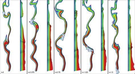 snapshots of 60 individuals performing filament tracking at intervals