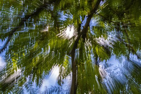 Icm Memengaruhi Pergerakan Foto Gratis Di Pixabay Pixabay