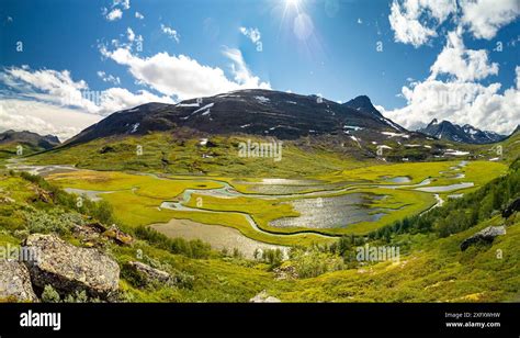 A Beautiful Rapa River Rapadalen Landscape With Native Plants A