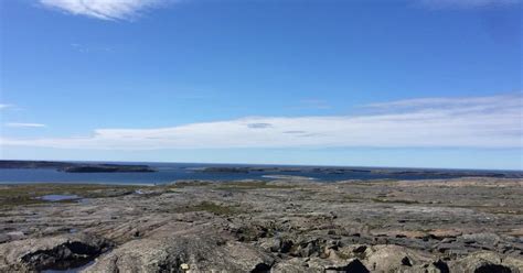 Найстаріша порода у світі «бачила Землю 4 16 мільярда років тому де вона зберігалася фото