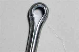 Macro Pin Me TomsFotos