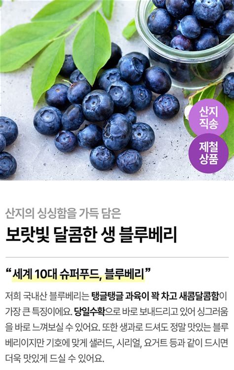 달콤한 보랏빛깔 하우스 생 블루베리