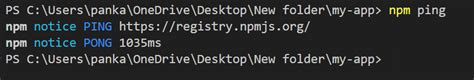 Npm Ping Command Geeksforgeeks