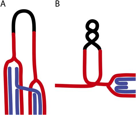Leaping Forks At Inverted Repeats