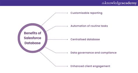 Salesforce Database Explained In Detail