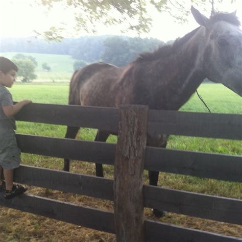 Rtvi Украина не спрашивает разрешения у США на удары вглубь России заявил Зеленский Президент