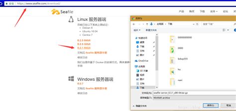 记一次不是很顺利的部署 Seafile 服务器过程，包含各种问题的解决过程 Seafile Controller Not Running