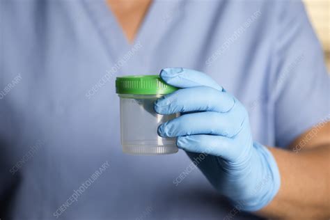 Small Green Specimen Cup Stock Image F0359223 Science Photo Library