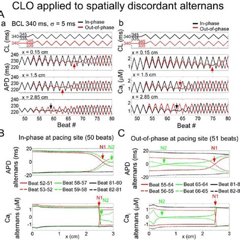 Cycle Length Oscillation Applied During Spatially Concordant Alternans