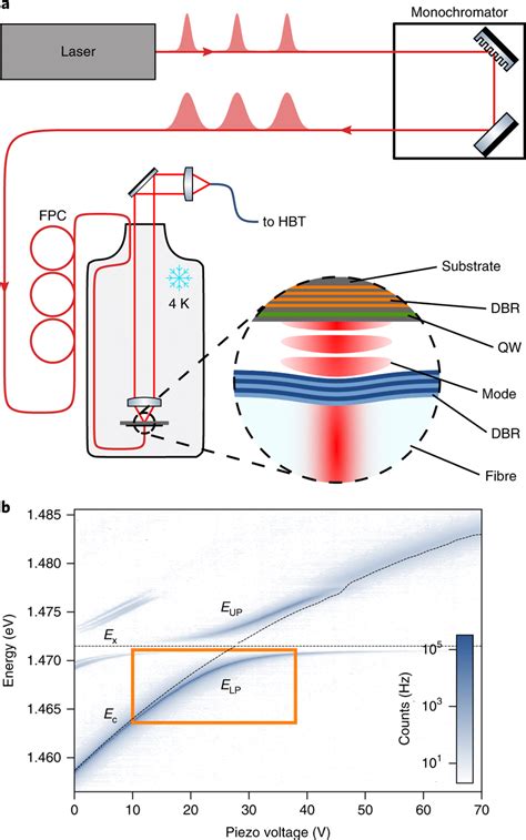 Experimental Set Up For Cavitypolaritons A A Fibre Cavity Is Driven