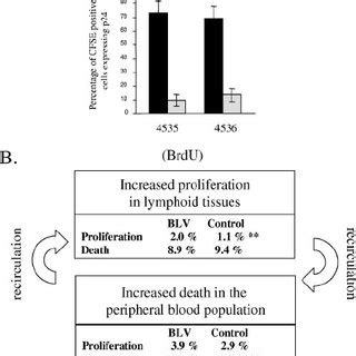 Theoretical Fit Of The Model To The CFSE Data The Percentages Of CFSE Download Scientific