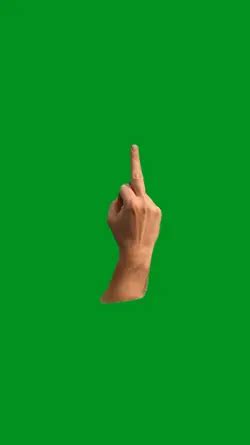 Middle Finger Meme Discover The Best Viral Memes Online