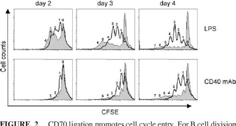 Igm B Cell Receptor Complex Semantic Scholar