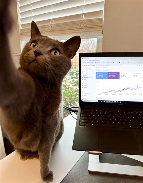 Muhammad Sohaib On Linkedin Seo Made Easy 20 Hacks To Improve Your