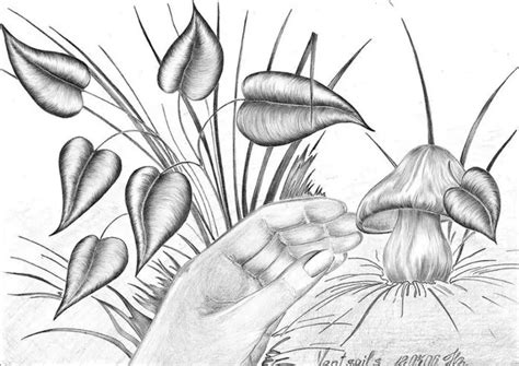 Рисуем Простым Карандашом 4 Класс 113 Фото