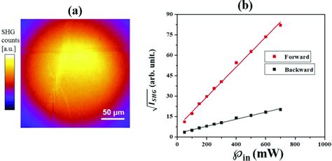 A Shg Microscopy Image Of The Ttb Eu Thin Film Forward Direction