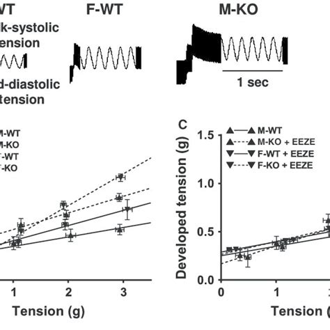 Eet Dependent Promotion Of Cardiac Contractility In Seh Ko And Female Download Scientific