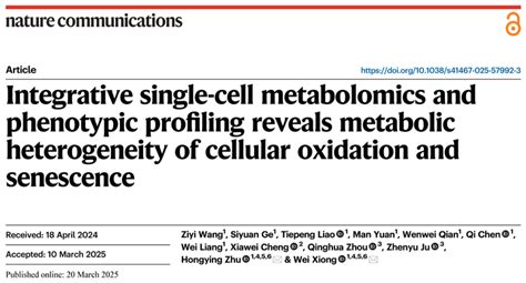 【中科院1区14 7】单细胞代谢组 活细胞成像｜中国科大熊伟and朱洪影团队整合单细胞代谢组学和表型分析揭示细胞氧化和衰老代谢异质性 知乎