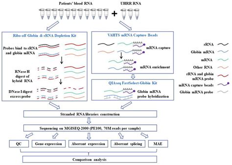 Systematic Evaluation Of The Two Main Blood Based RNA Seq Approaches For Mendelian Disease