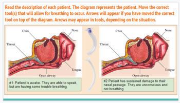 Paramedic EMT Virtual Airway Management Lab By Simulation Education
