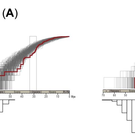 Figure S11 Lineage Through Time Ltt Plots For Neopasiphaeine