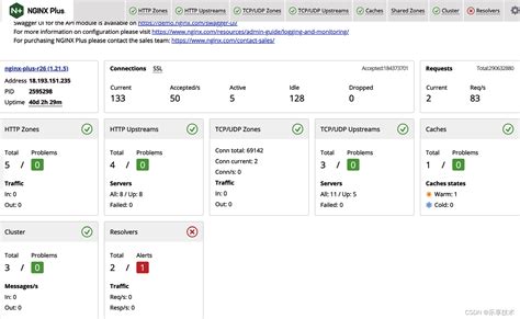 Nginx（26） 构建nginx高可用、集群及性能监控精通nginx Csdn专栏