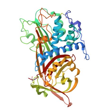 Rcsb Pdb 2b4x Crystal Structure Of Antithrombin Iii