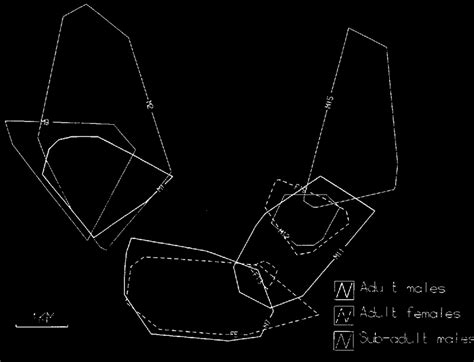 Home Ranges 100 Minimum Convex Polygon Calculated For Individuals Download Scientific