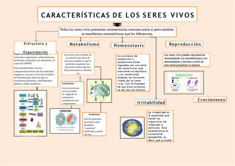Mapa Conceptual De Las Caracteristicas De Los Seres Vivos 2 Pdf